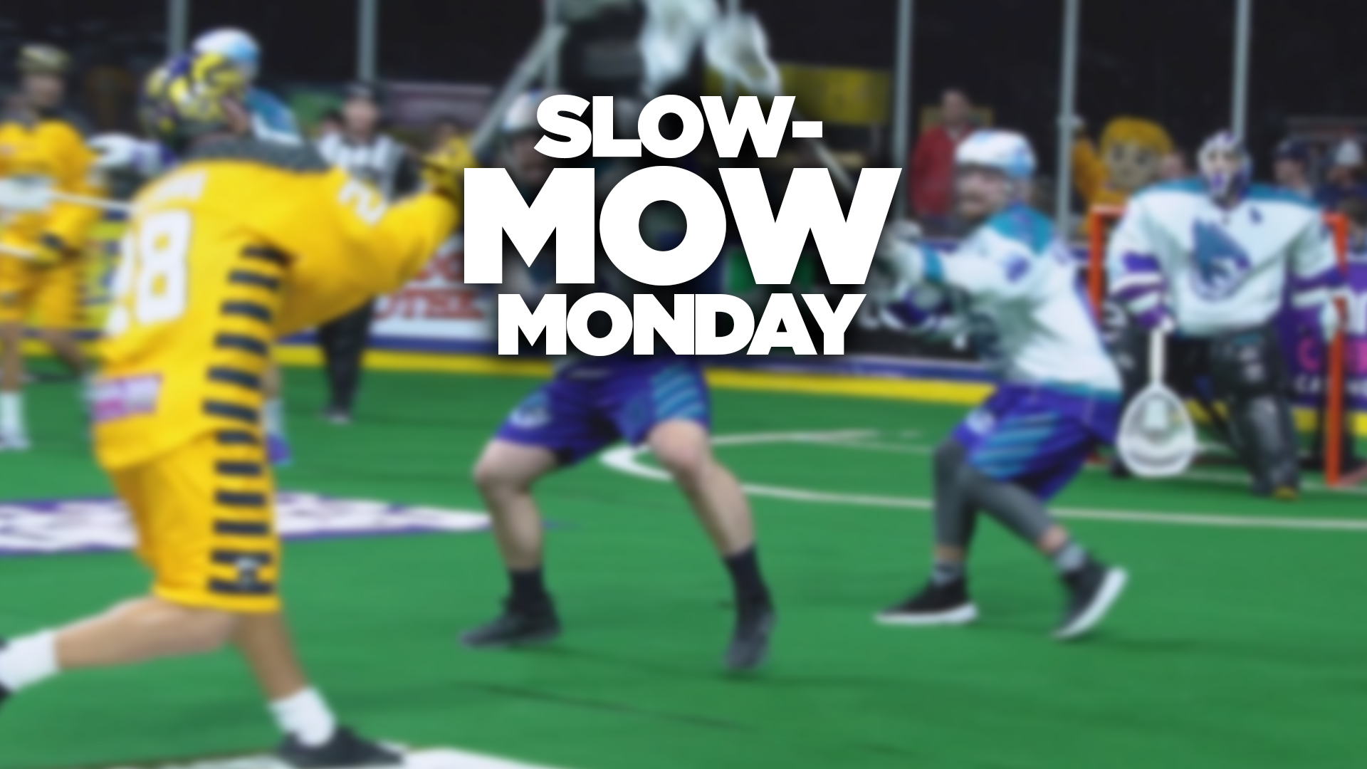 SLOW-MOW MONDAY: Zed with a Rocket! | Georgia Swarm | Official NLL Pro ...
