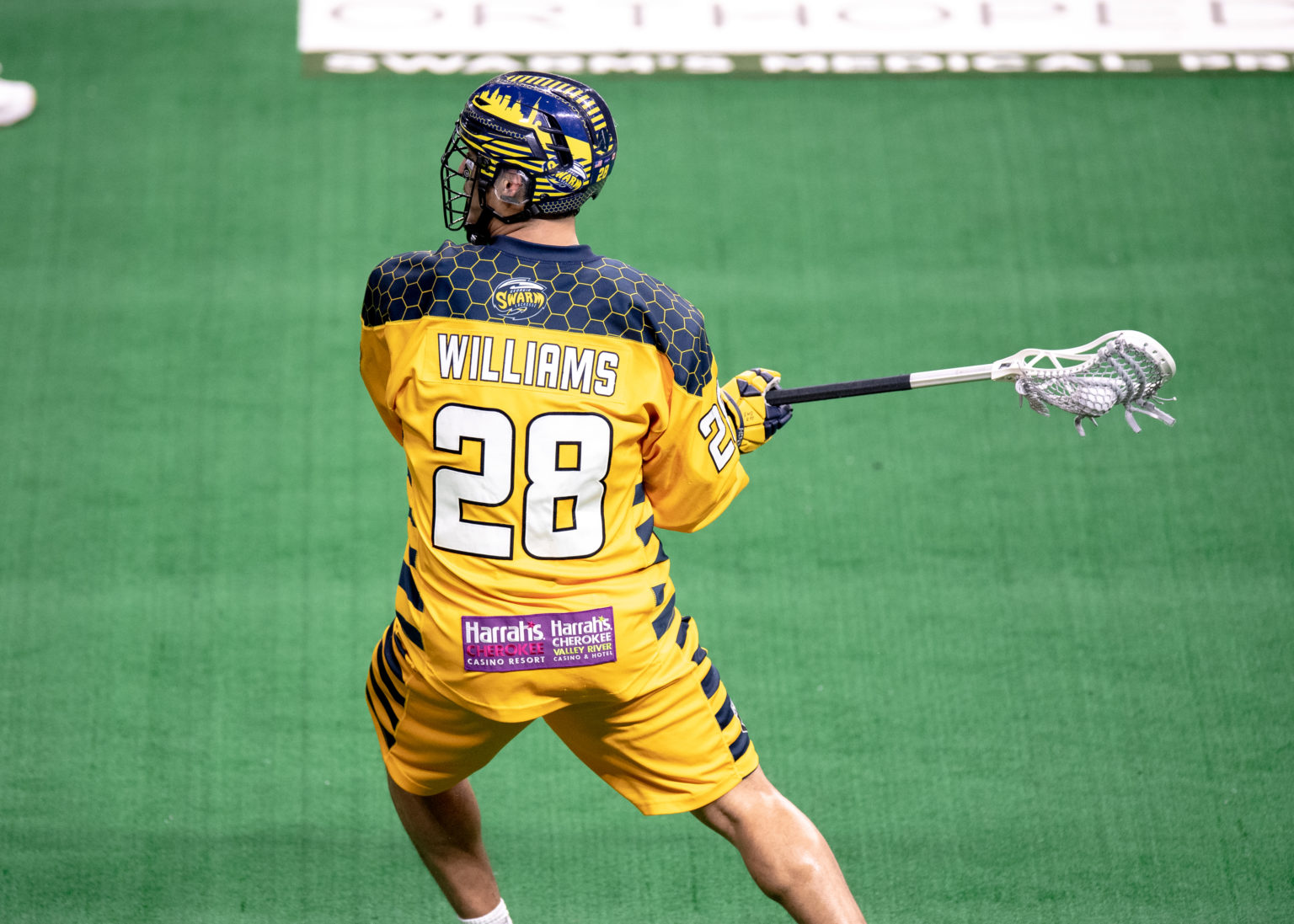2018-19 Player Capsule: Zed Williams | Georgia Swarm | Official NLL Pro ...