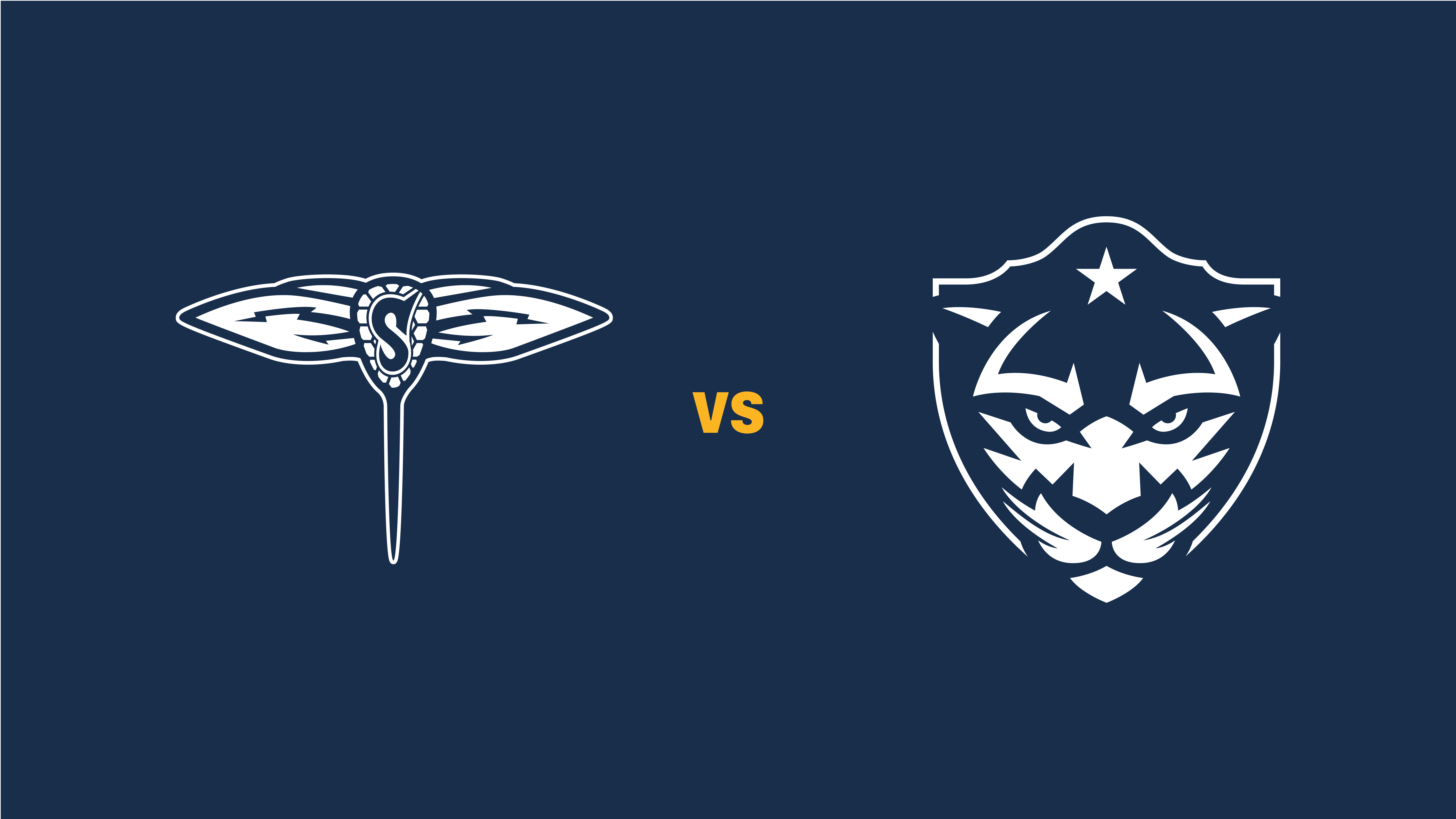 RISING SWARM TAKE ON PANTHER CITY IN GEORGIA | Georgia Swarm | Official ...